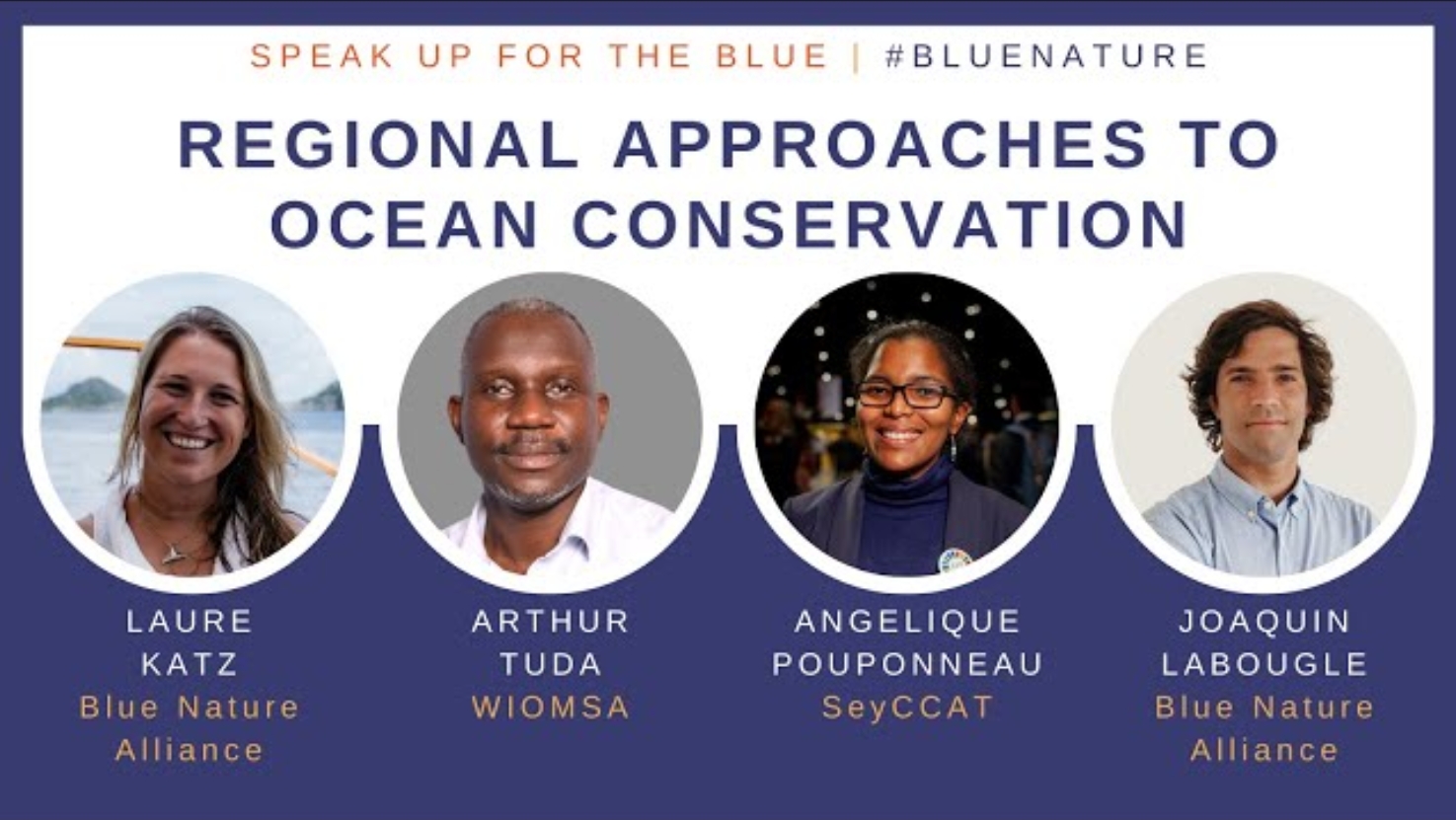 Regional Approaches to Ocean Conservation - Blue Nature Alliance