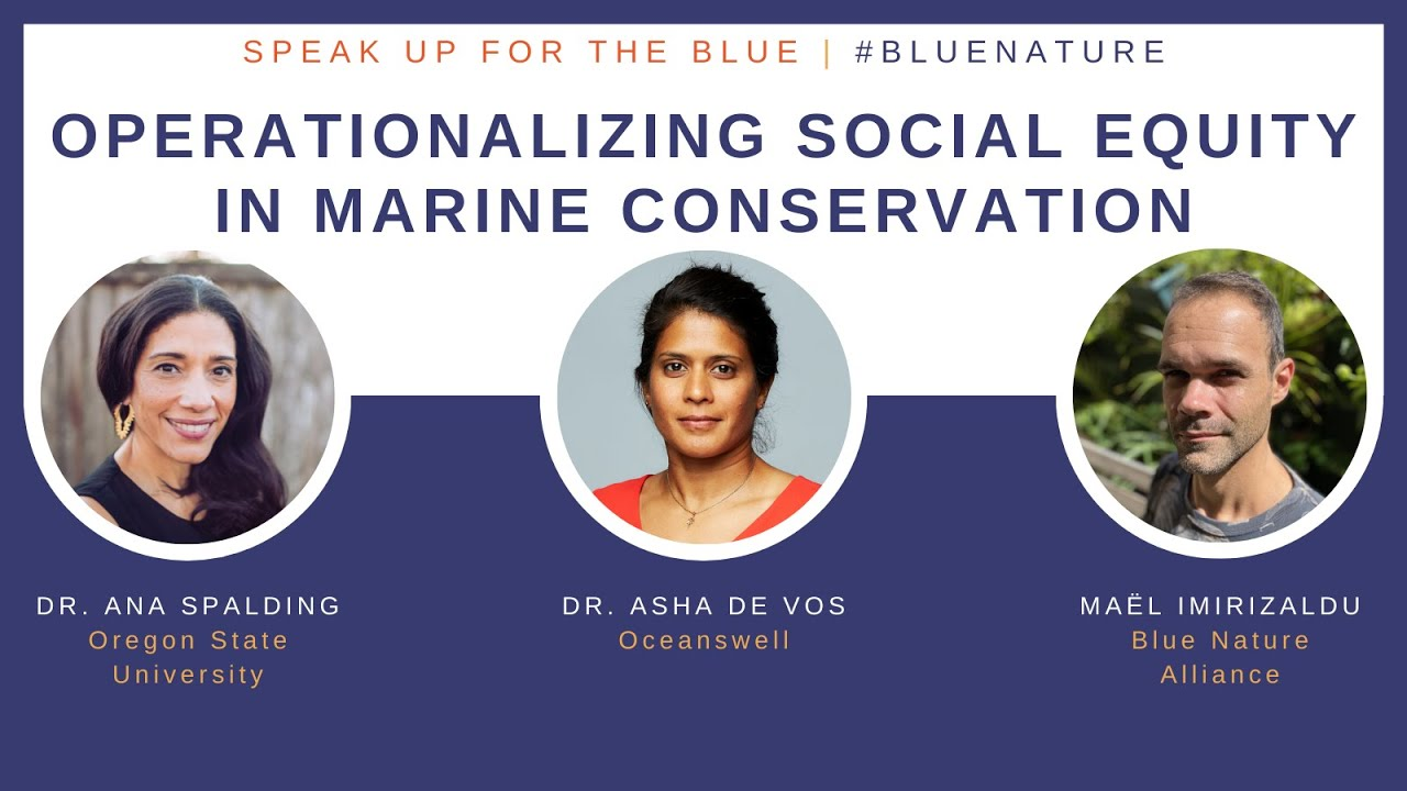 Operationalizing Social Equity in Marine Conservation - Blue Nature ...