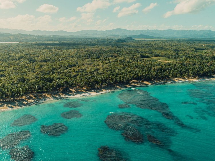 New Marine Sanctuaries in the Dominican Republic Set Milestone in the ...