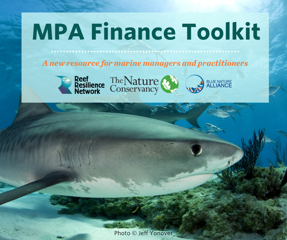 Just Launched: The MPA Finance Toolkit - Blue Nature Alliance