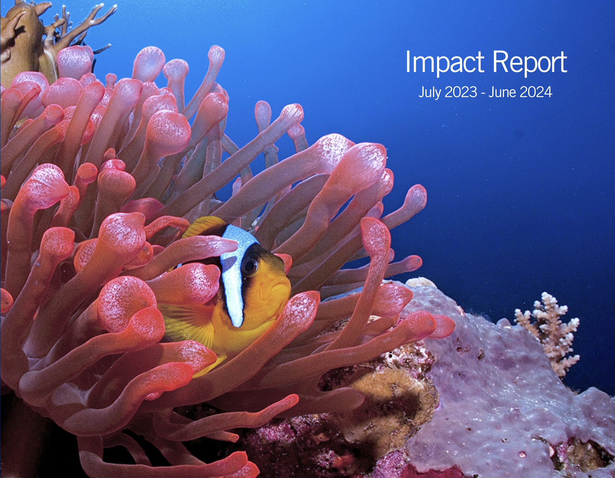 Explore Our Latest Impact Report - Blue Nature Alliance