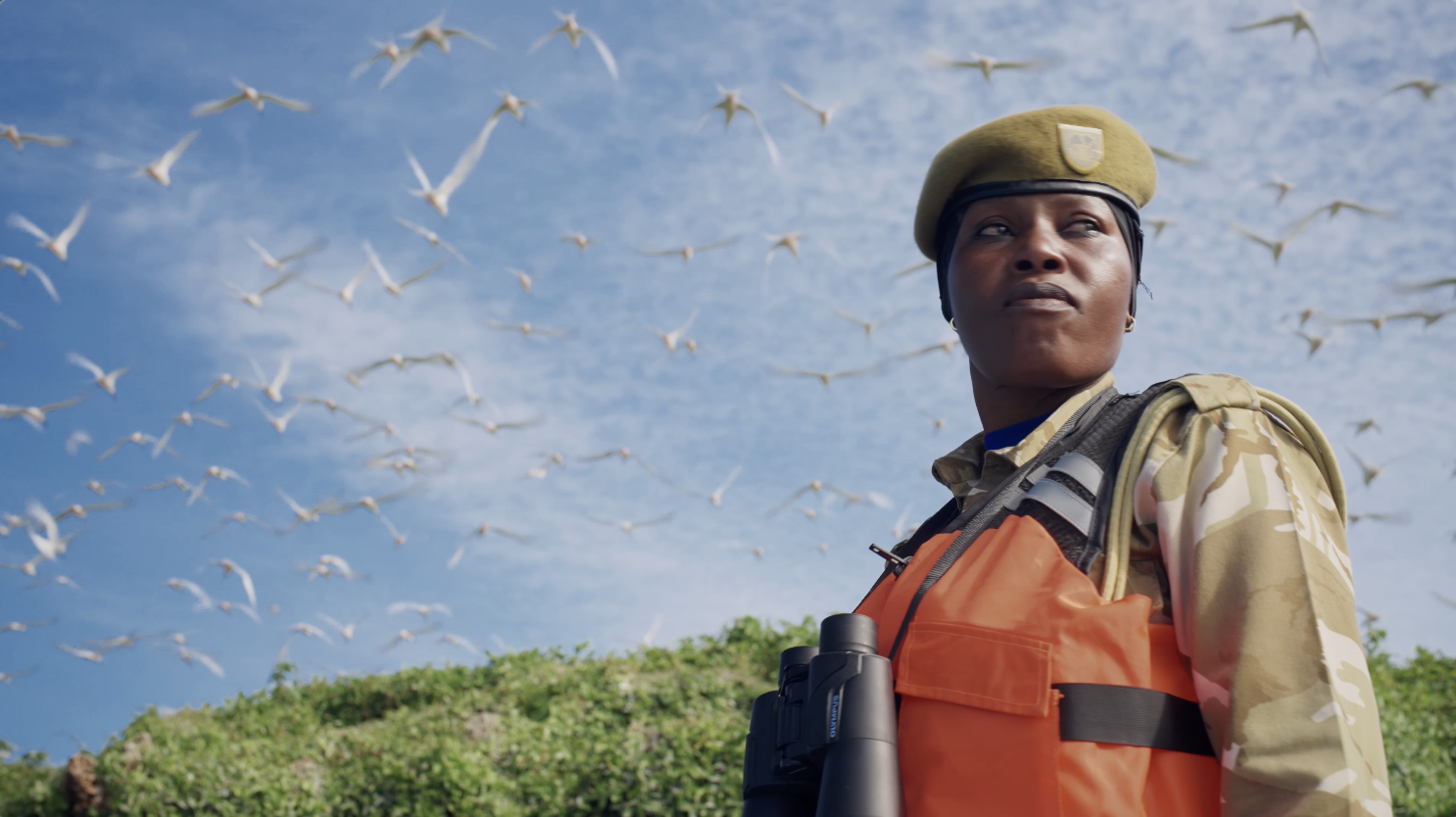 Meet the Blue Nature Alliance - Full - Blue Nature Alliance