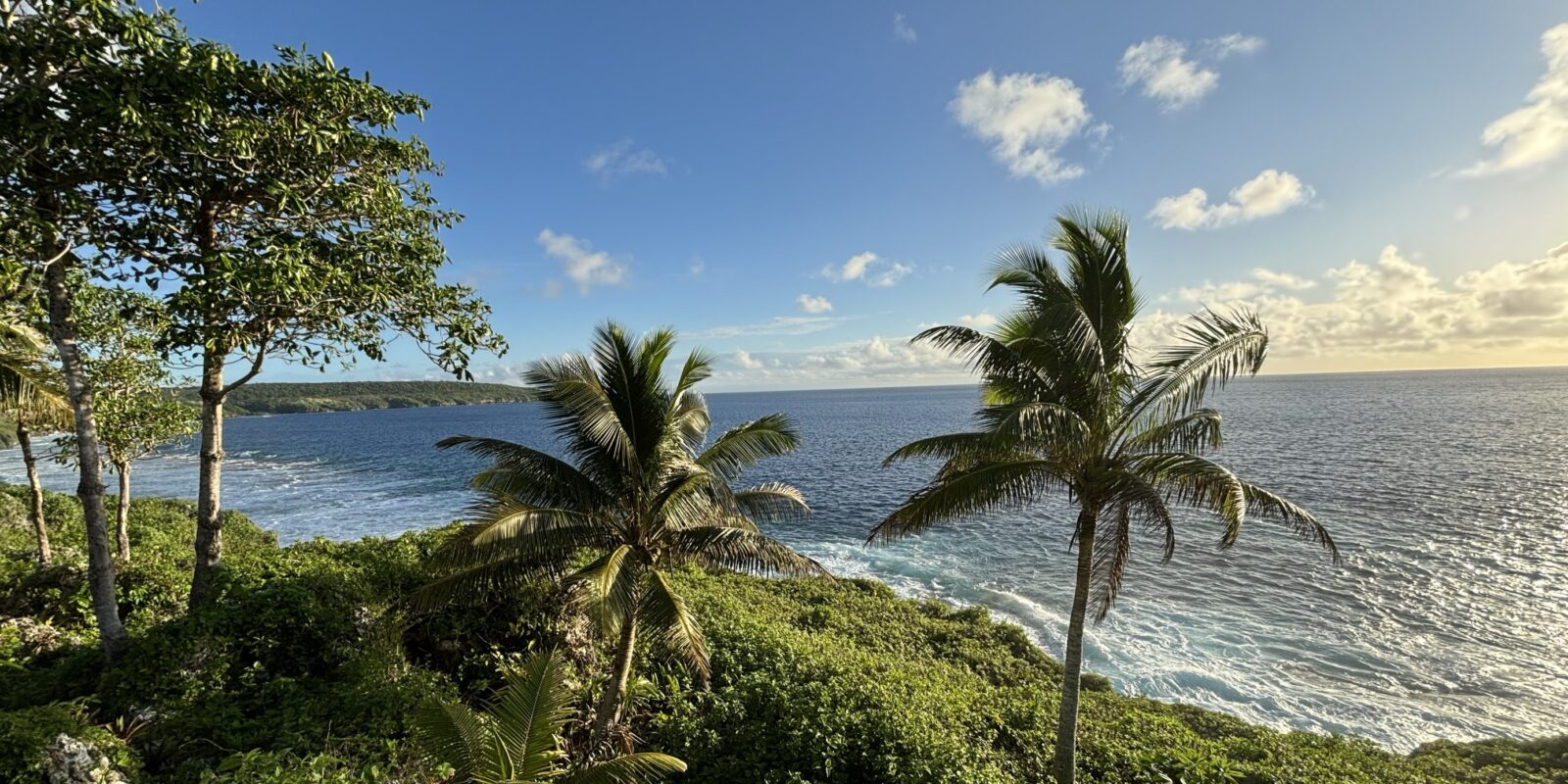 Niue at the Forefront of Ocean Conservation - Blue Nature Alliance