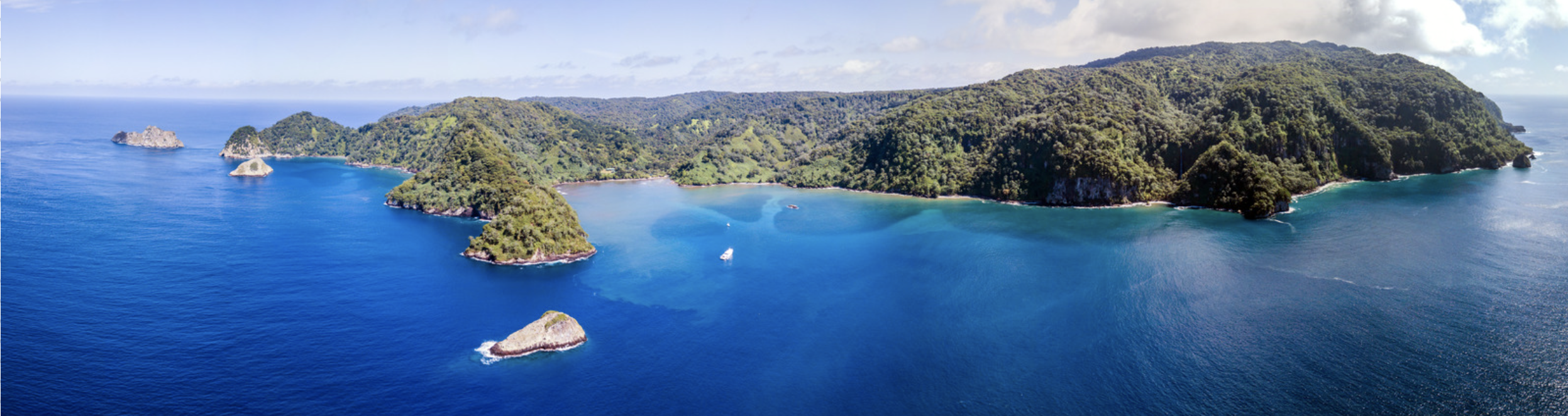 Earth Day 2026: Four Signs of Progress for Ocean Conservation - Blue ...